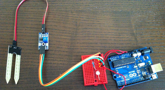 Plante connectée | ECHOSCIENCES - Auvergne